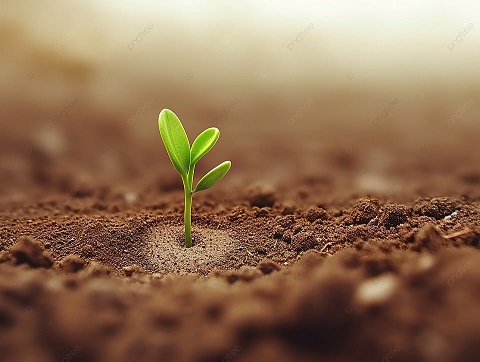 Increase PHP script execution time with Nginx